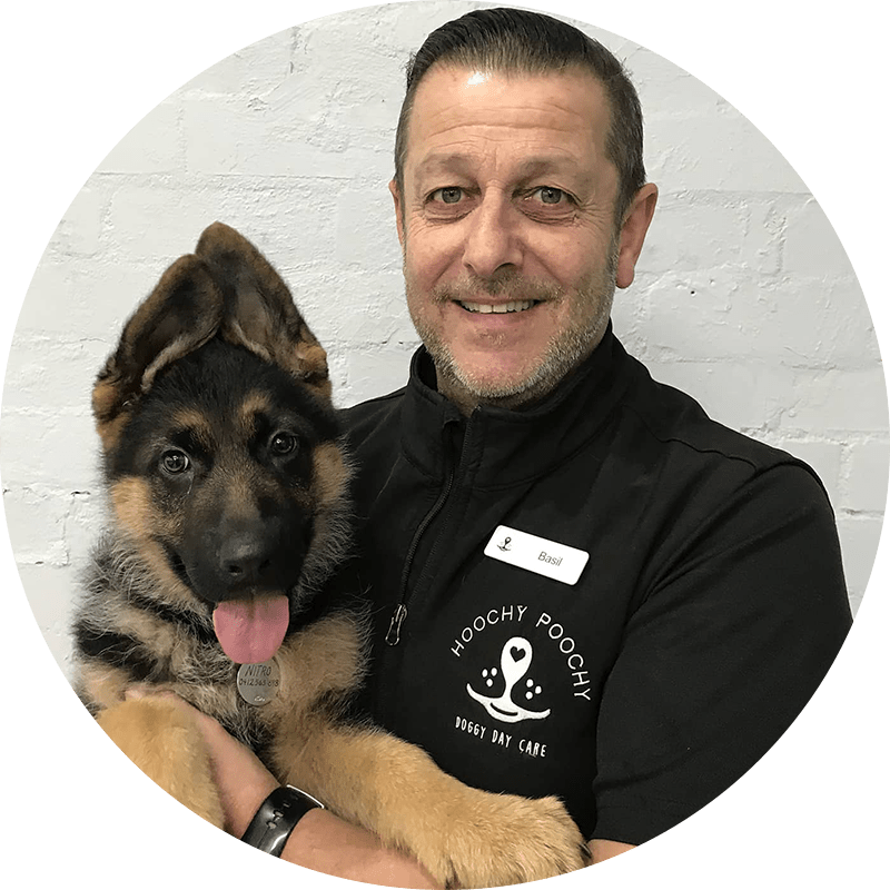 About Us - Hoochy Poochy